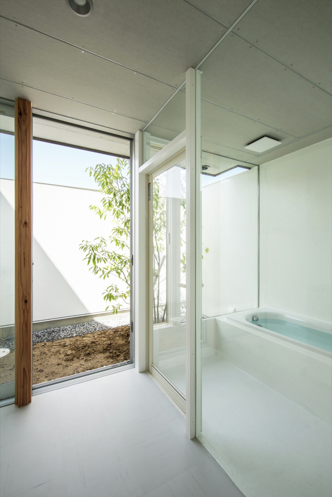 Gallery of House on Stylobate / y+M - 13