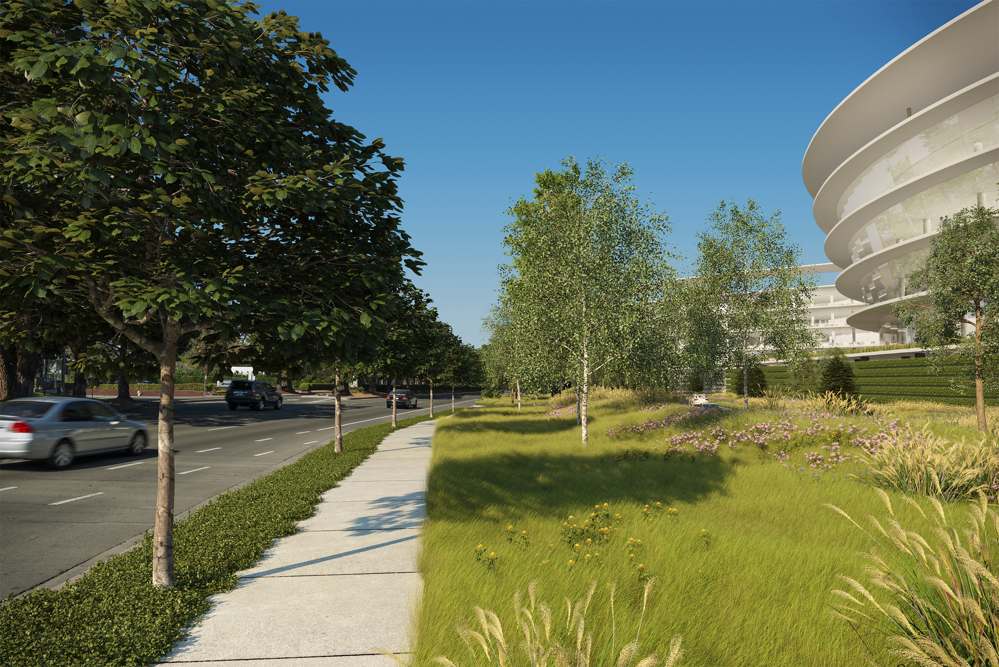 Gallery of HOK Designs Apple's Newest Silicon Valley Campus - 9