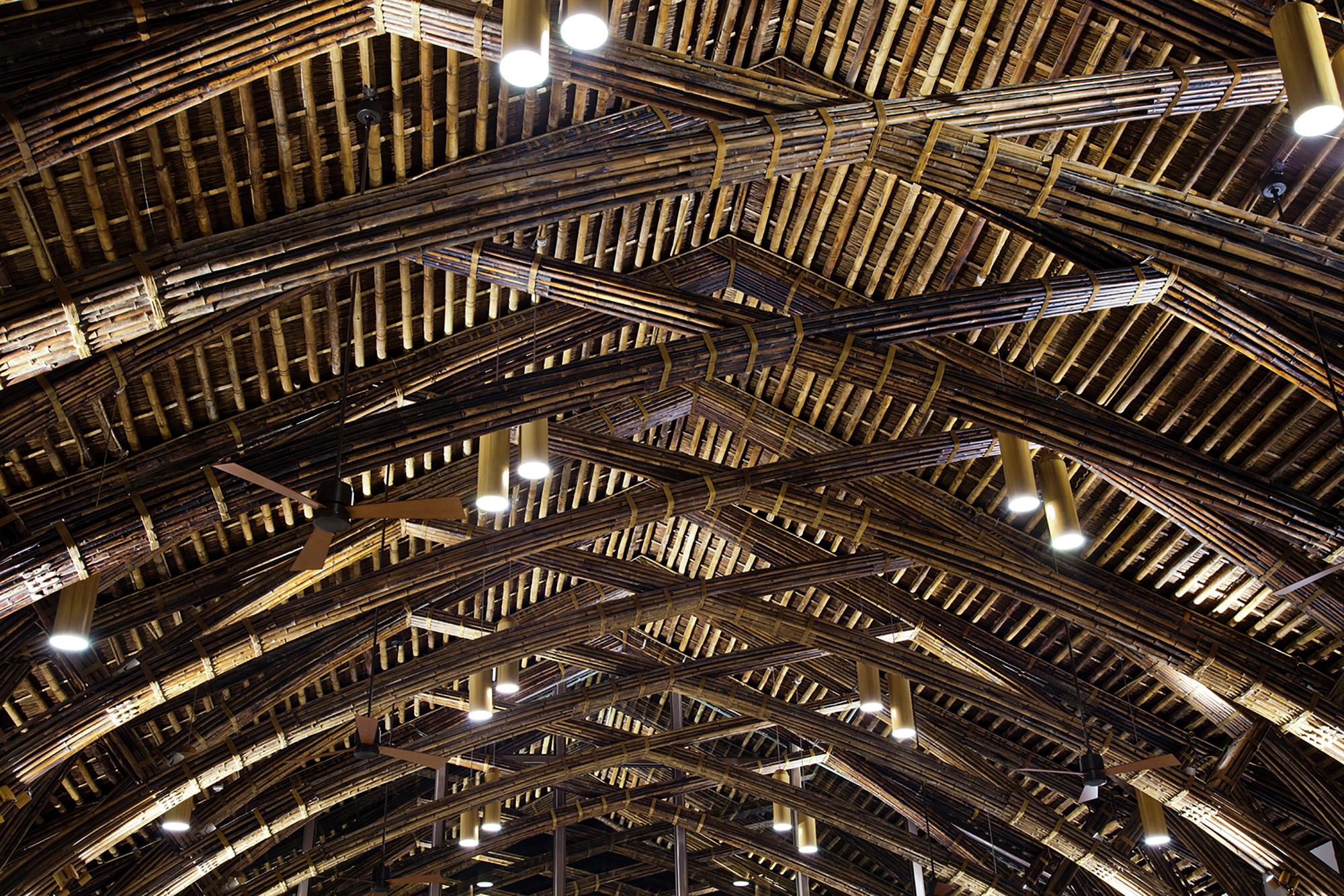 Galería de Sala de Conferencias Naman Retreat / Vo Trong Nghia ...