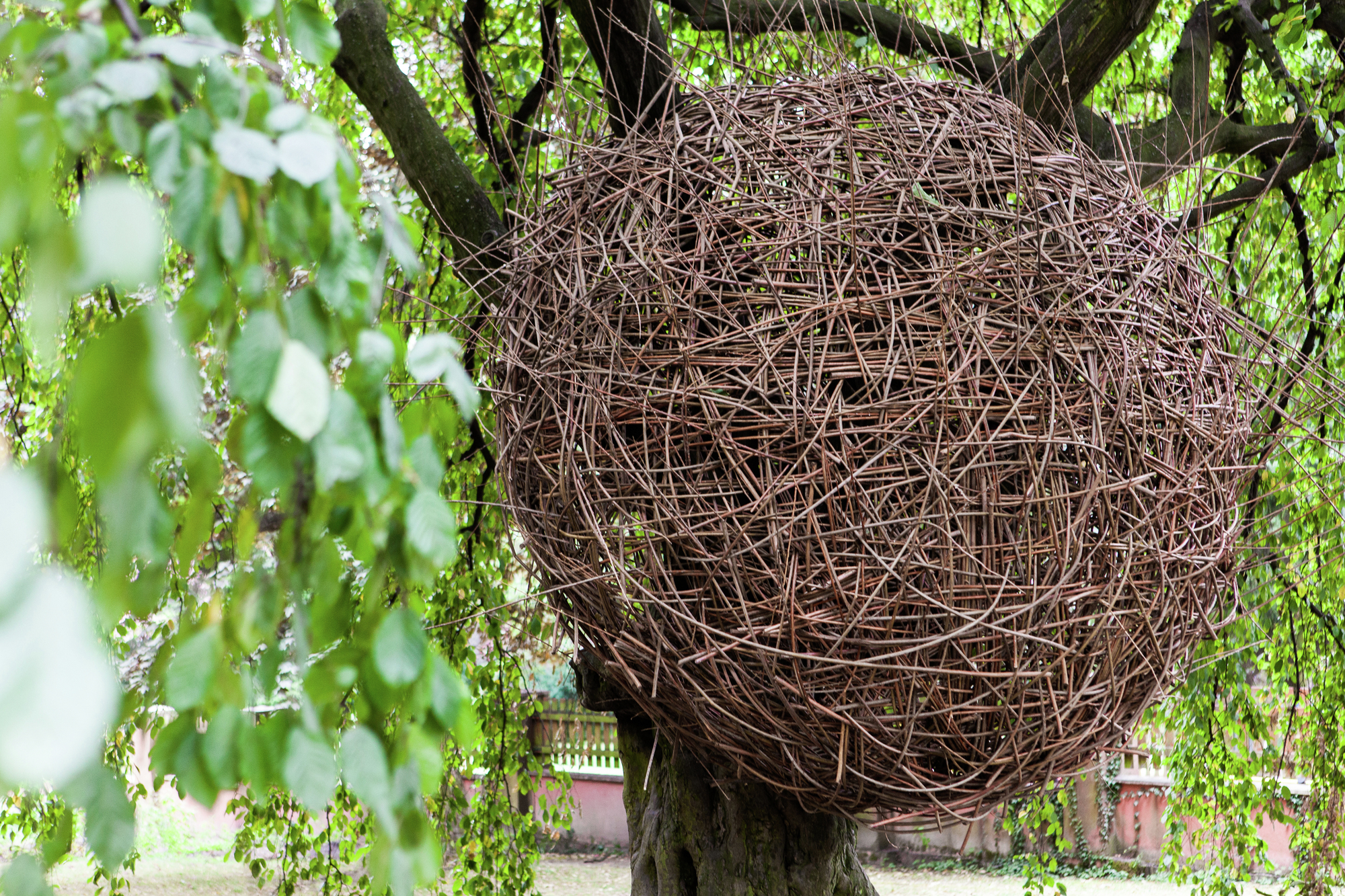 Gallery of Semi-Permanent Wood Nest Balances Unaided in Czech Republic ...
