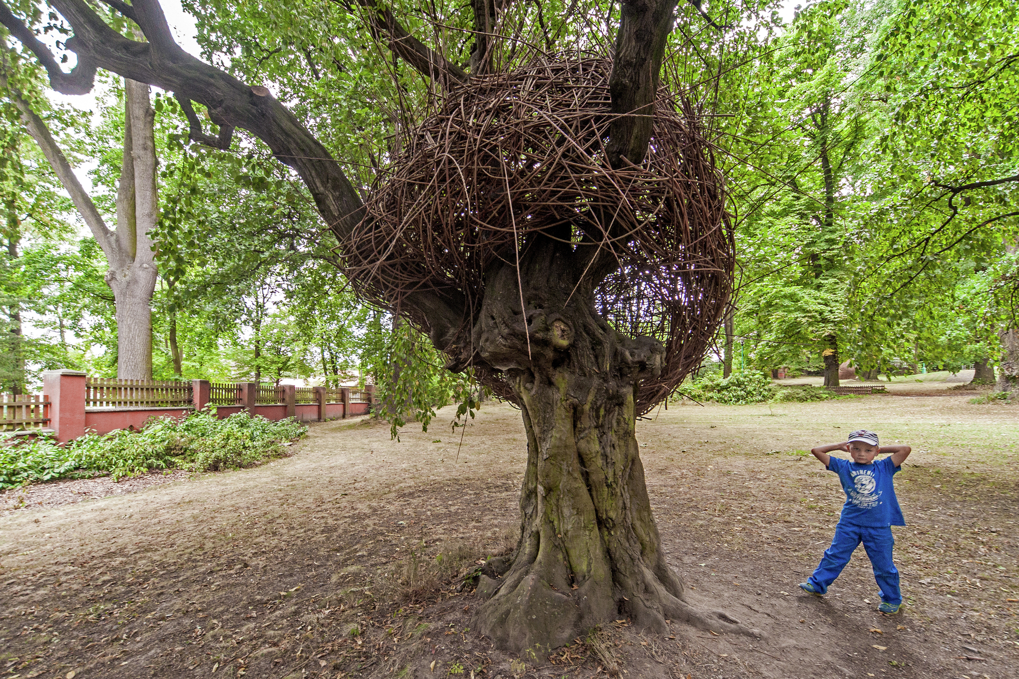 Gallery of Semi-Permanent Wood Nest Balances Unaided in Czech Republic ...