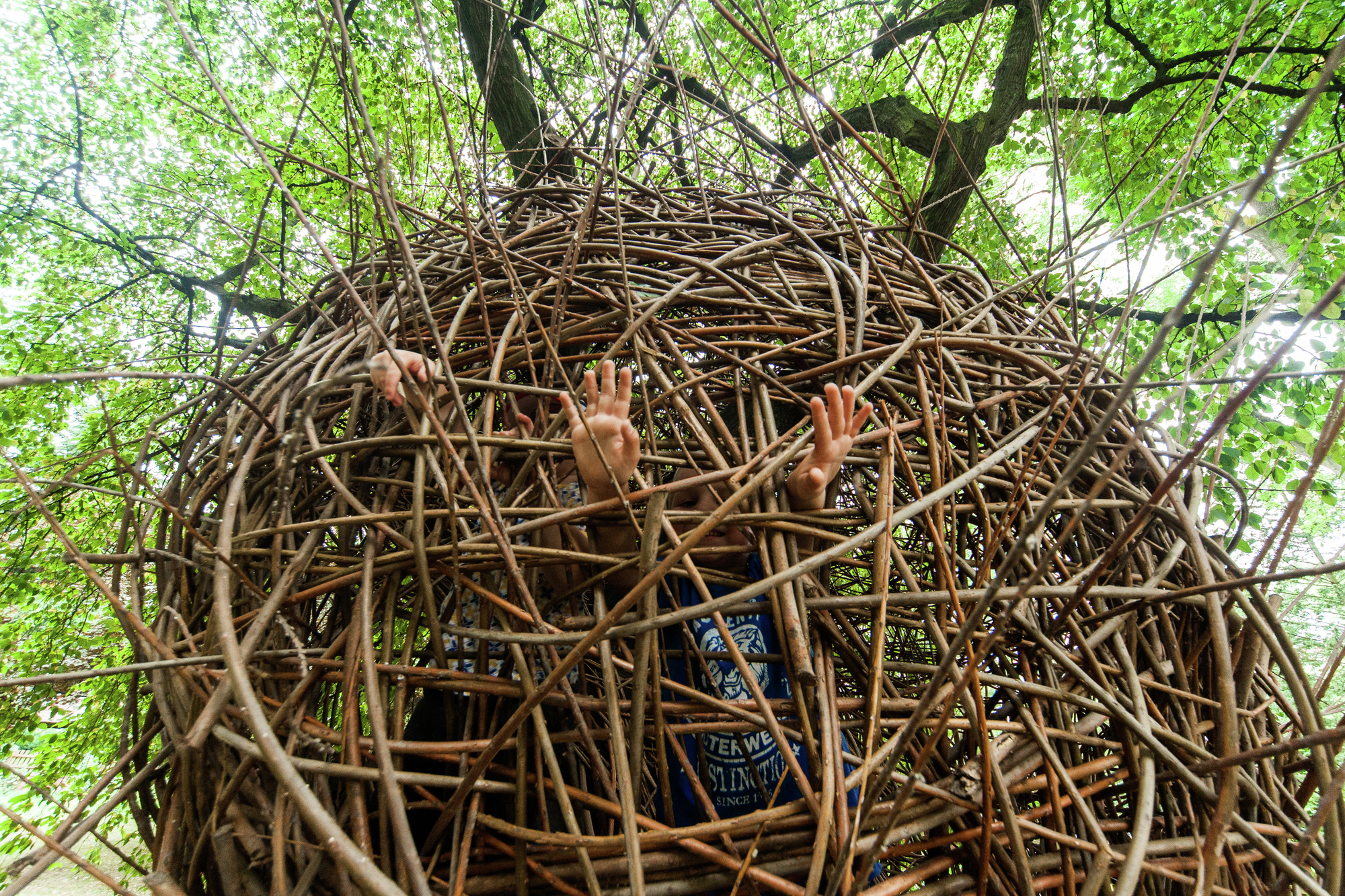 Gallery of Semi-Permanent Wood Nest Balances Unaided in Czech Republic ...