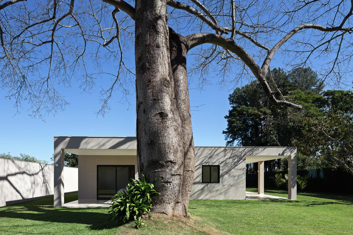 Gallery Of Paineira House Bloco Arquitetos 16