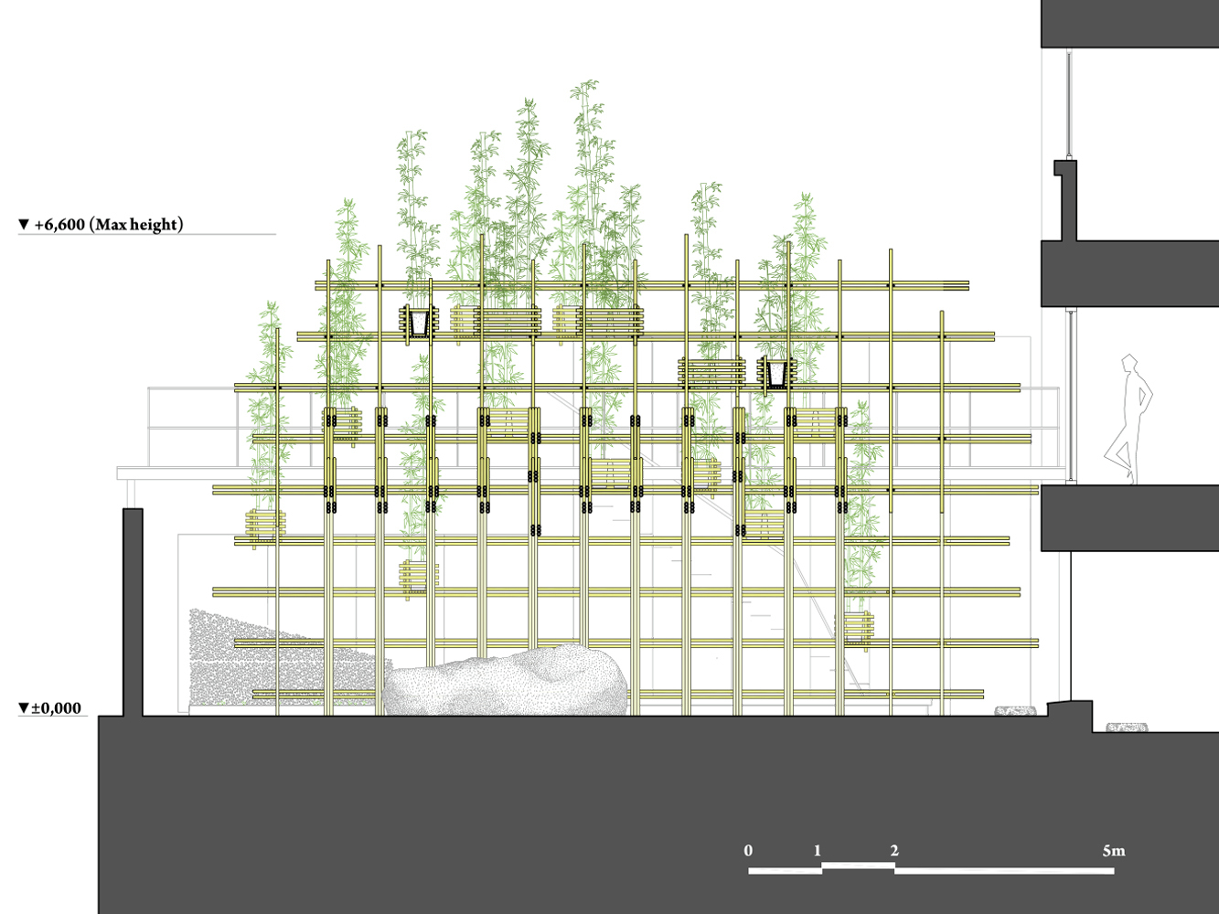 Gallery of Bamboo Forest / VTN Architects - 14