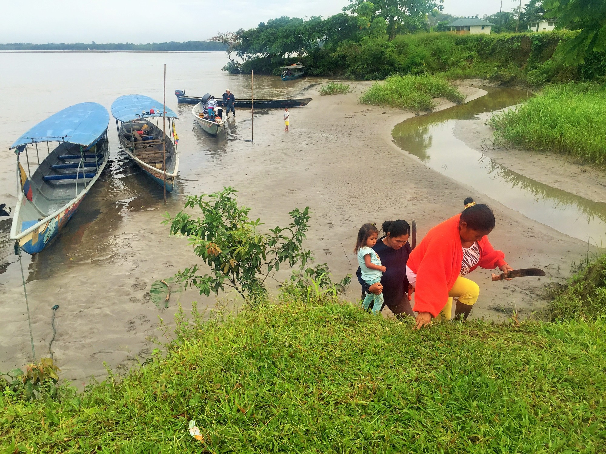 Identificar patrones de idiosincrasia. Una manera de conservar ...