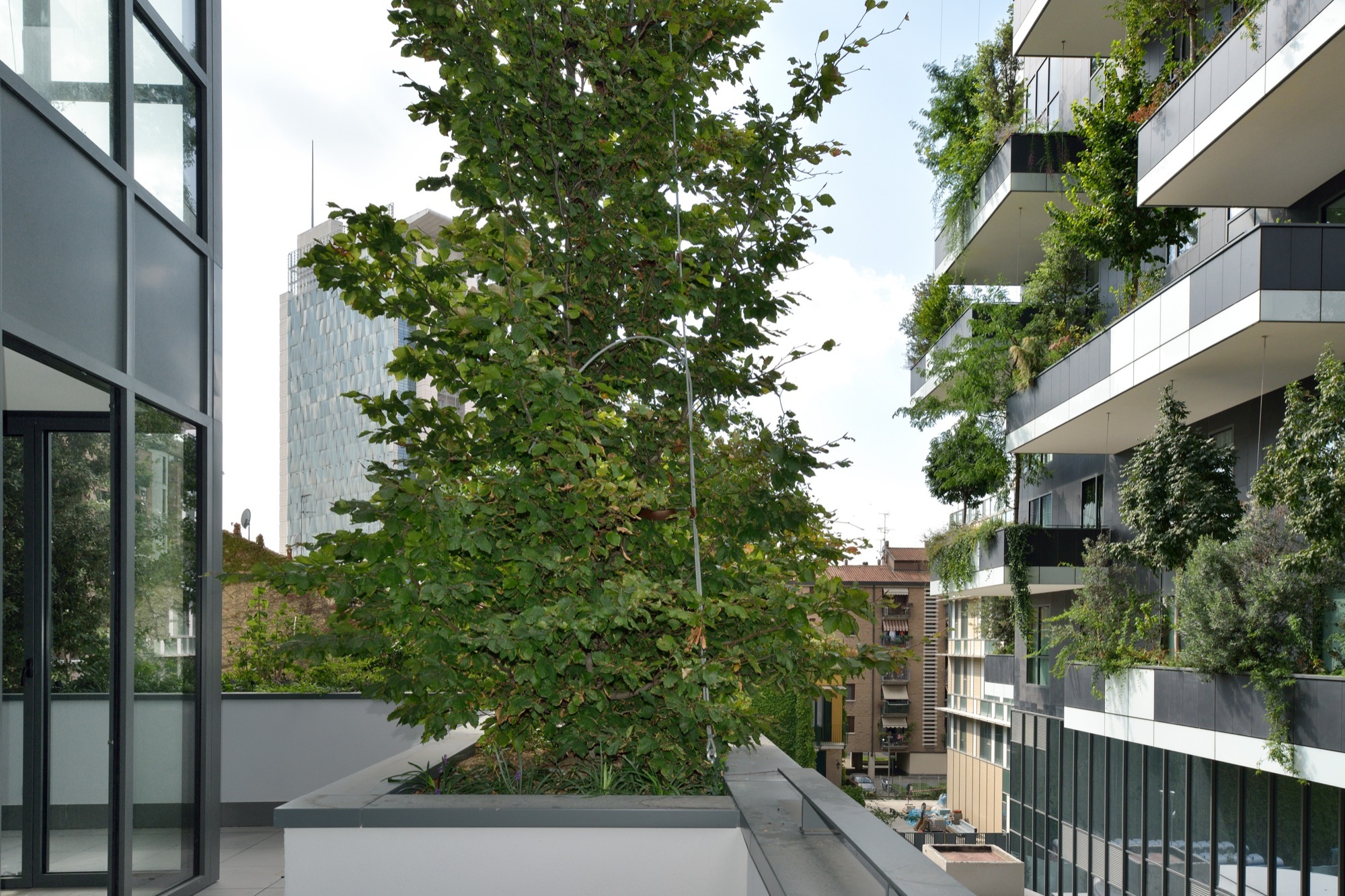 Gallery of Bosco Verticale / Boeri Studio - 9