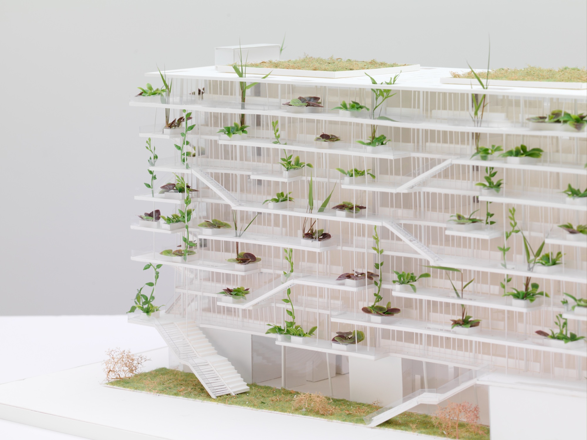 Gallery of NL*A Reveals Plans for Open-Concept Green Office Building in ...