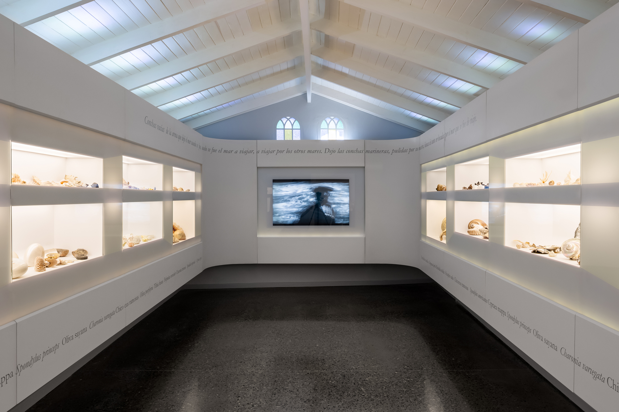 Gallery of Sala Caracolas Project / Shift Arquitectos - 7