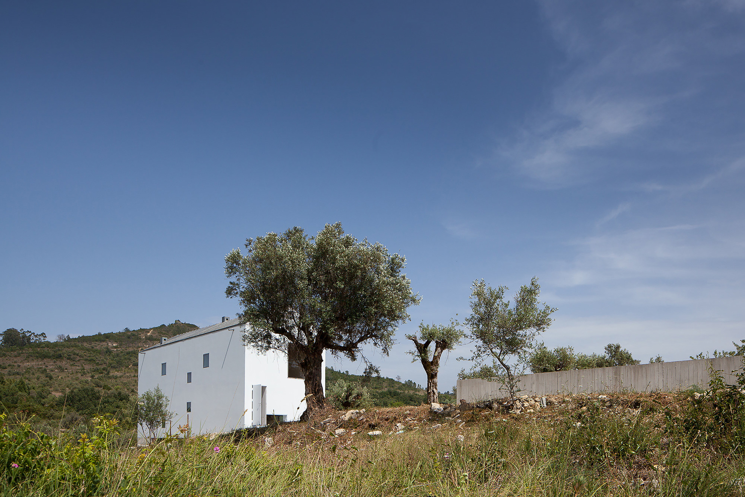 Gallery of Fonte Boa House / João Mendes Ribeiro - 34