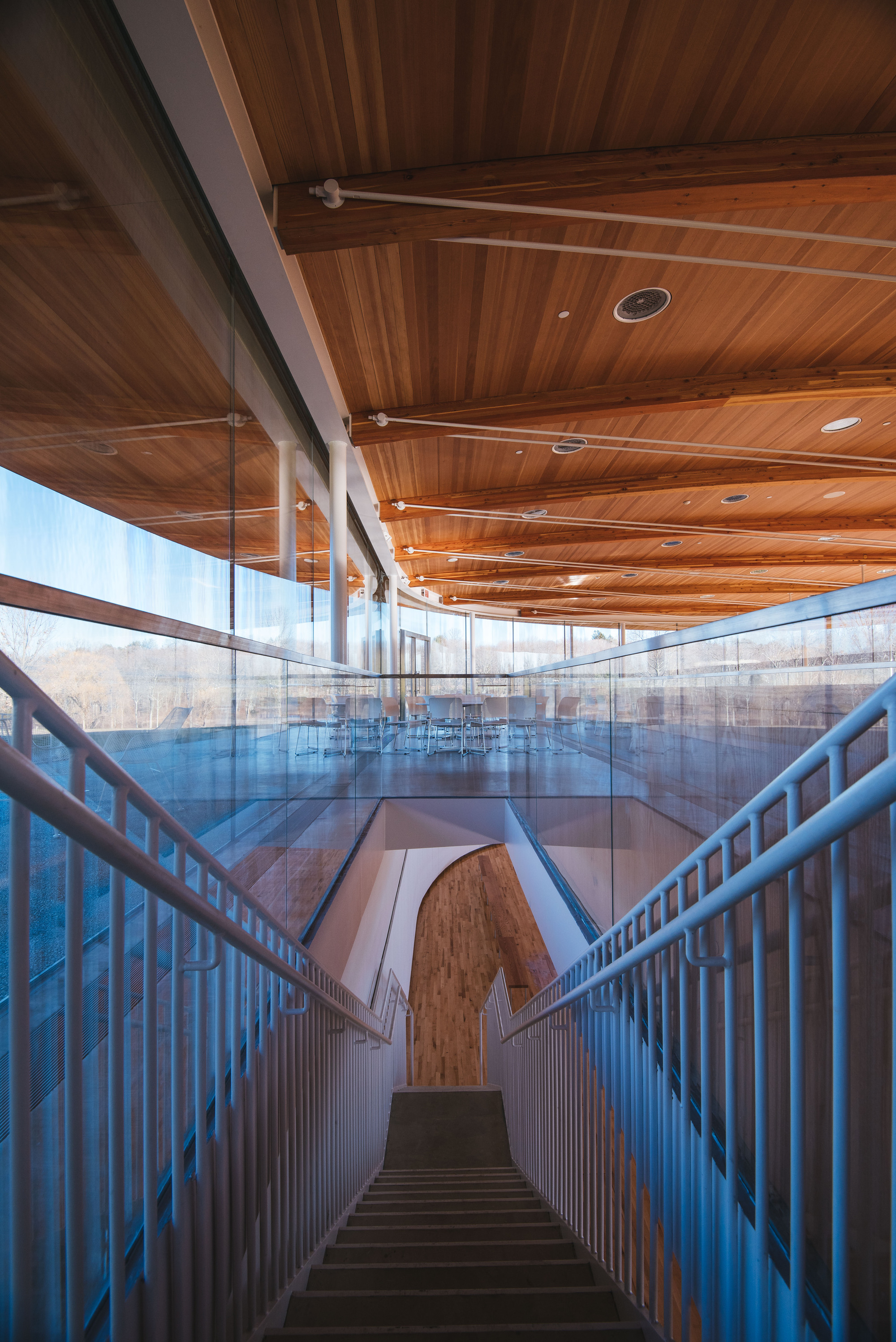 Galería de Grace Farms de SANAA a través del lente de Songkai Liu - 4