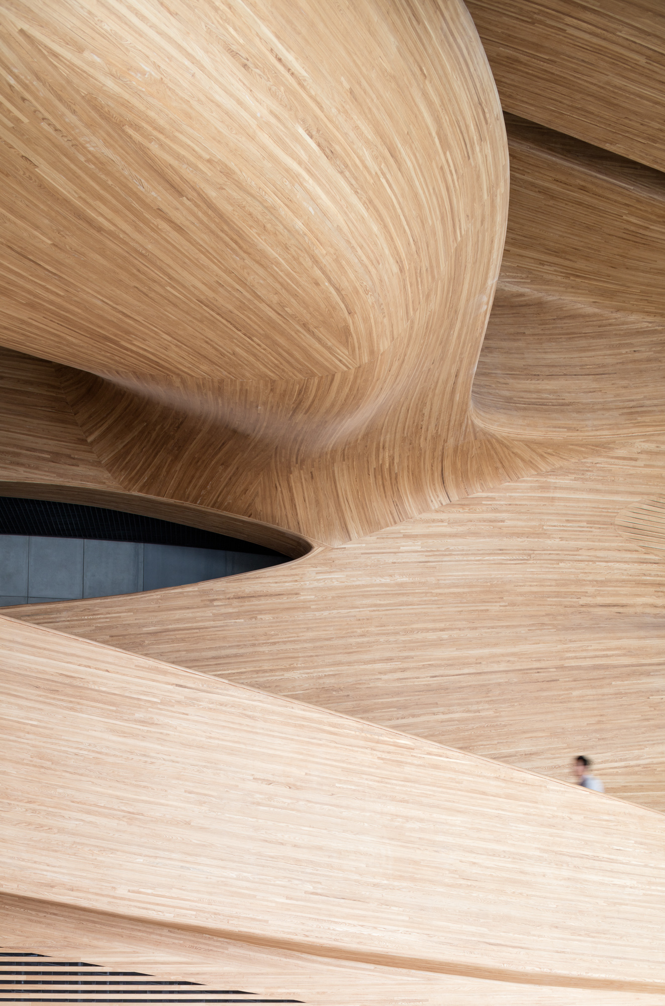 Galería de Ópera Harbin / MAD Architects - 13