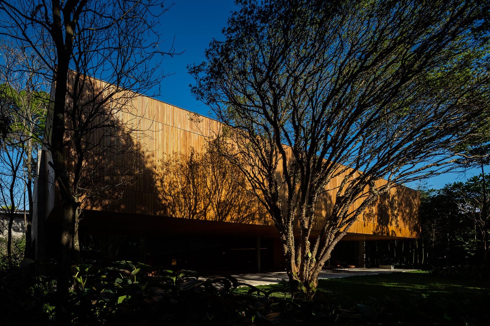 Galeria de Casa Rampa / studio mk27 - 3