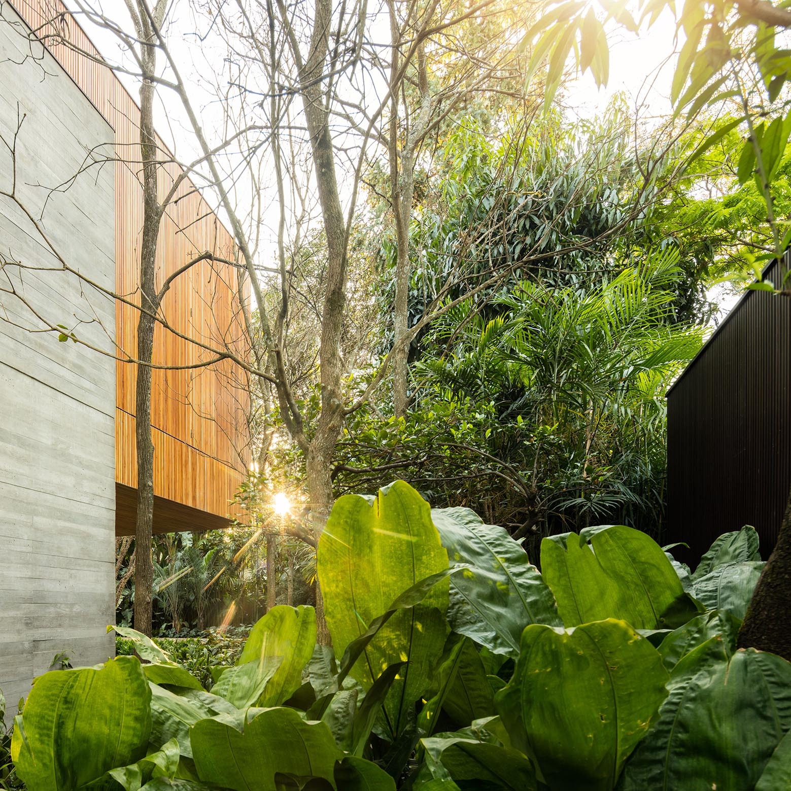 Galeria de Casa Rampa / studio mk27 - 23