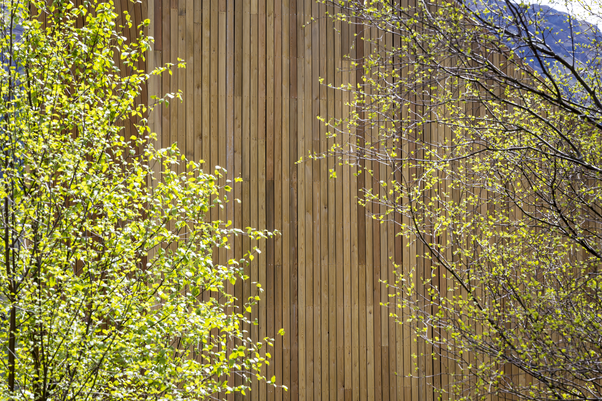 Gallery of The Pyramid Viewpoint / BTE Architecture - 8