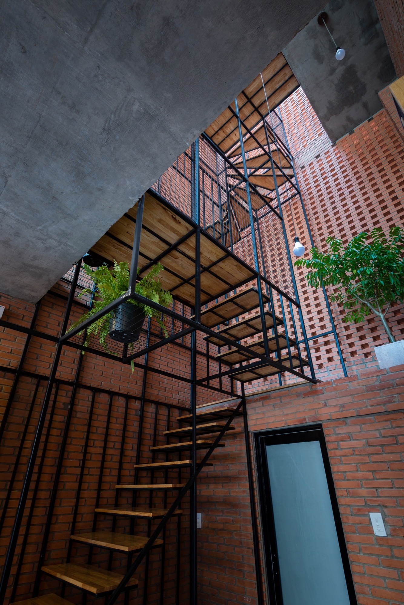 Gallery of Wasp House / Tropical Space - 21