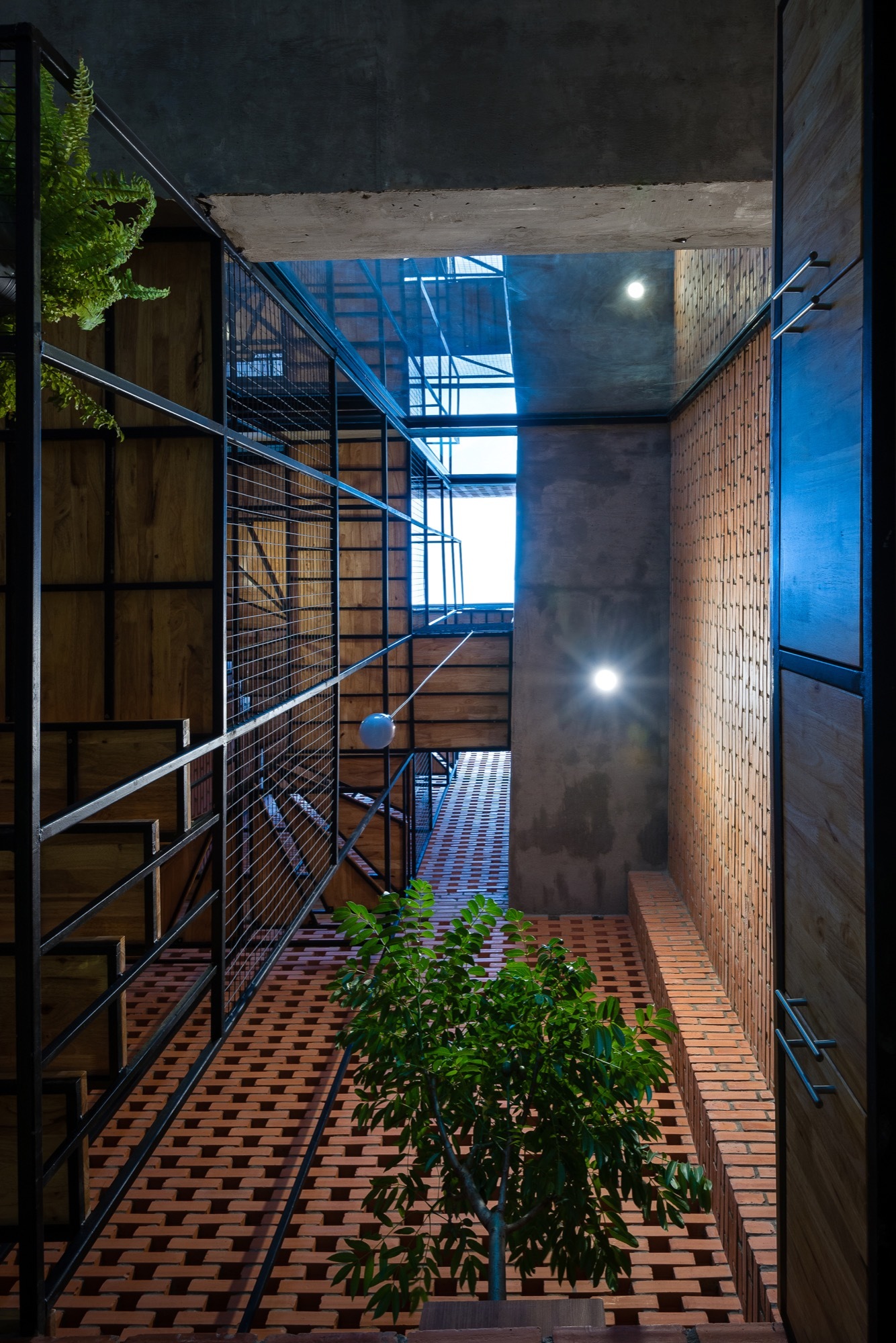 Gallery of Wasp House / Tropical Space - 7