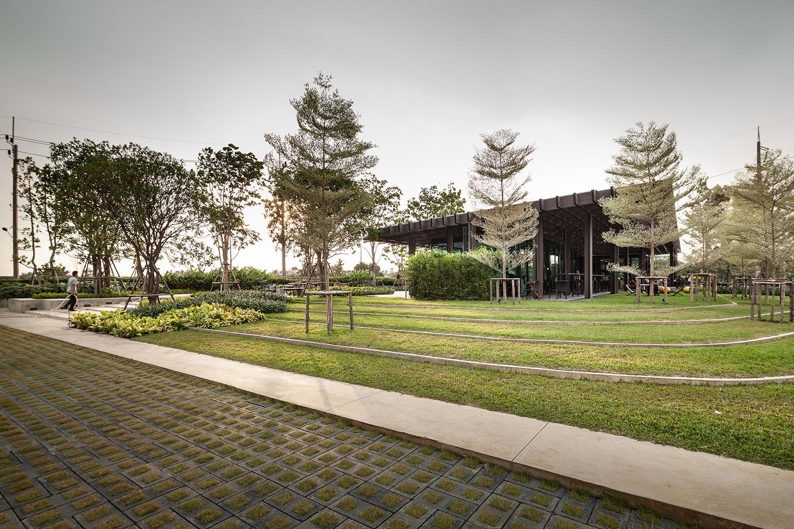 Galeria de It's Sara / Integrated Field - 12