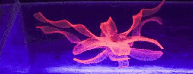 Gallery of Harvard Researchers Develop 4D-Printed Structures that React ...