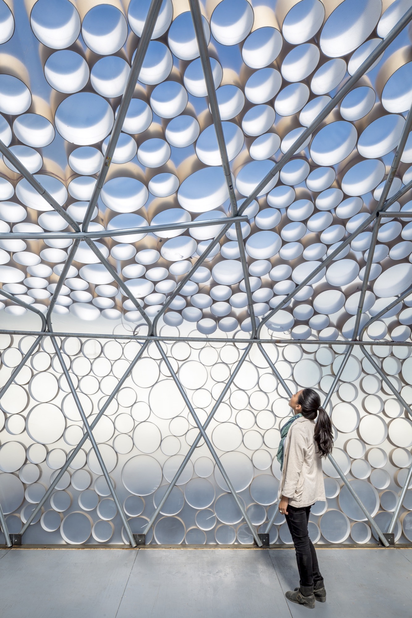 Gallery of Backyard BI(h)OME / Kevin Daly Architects - 10