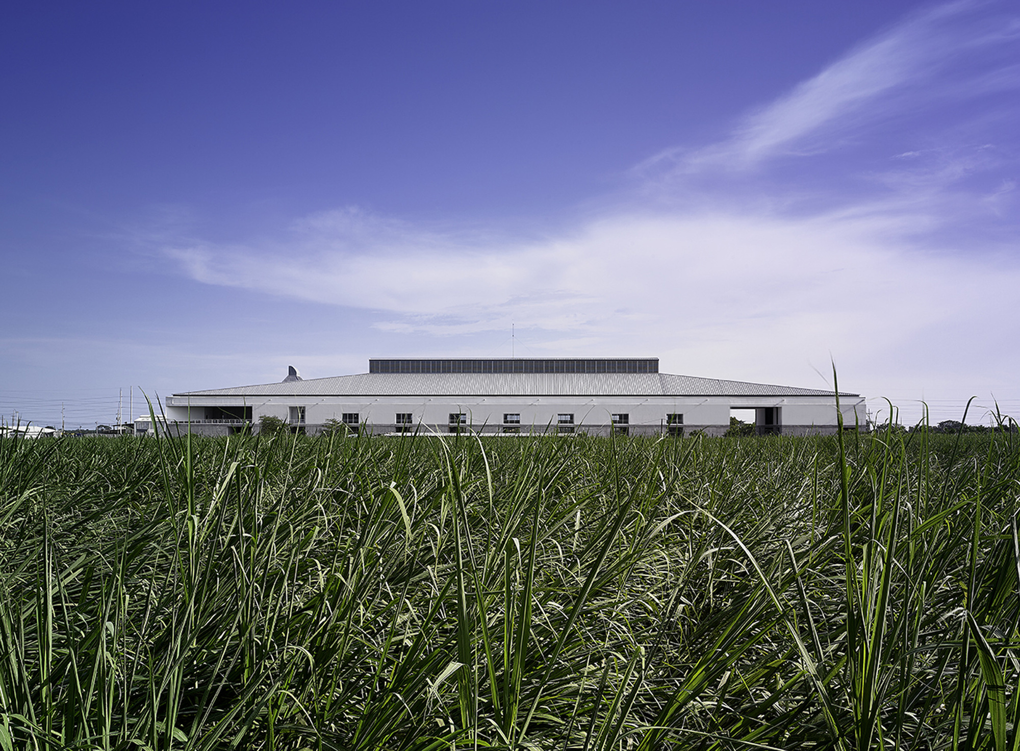 Gallery of MAG Corporate Headquarters / CURE & PENABAD - 6