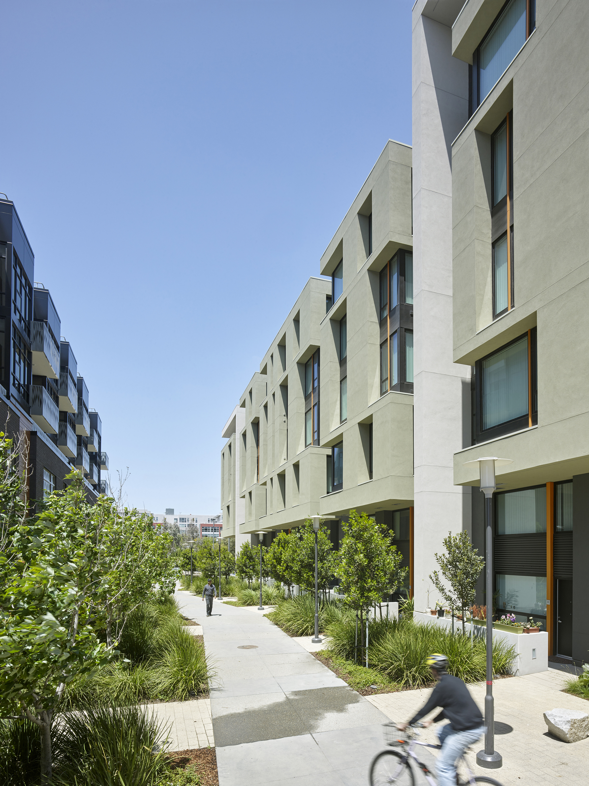 Gallery of 1180 Fourth Street / Mithun-Solomon + Kennerly Architecture ...
