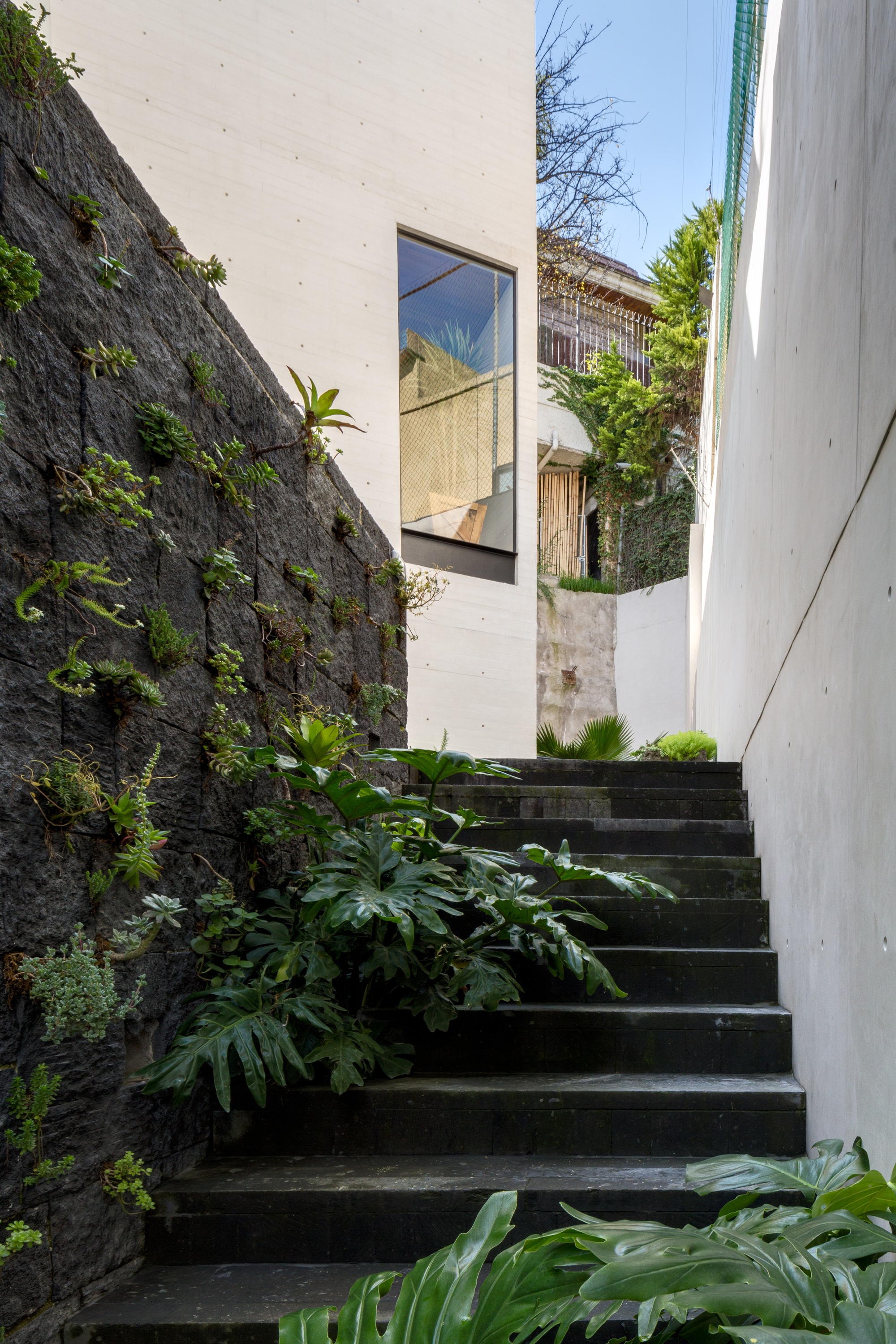 Galería de Casa S / Taller Héctor Barroso - 4