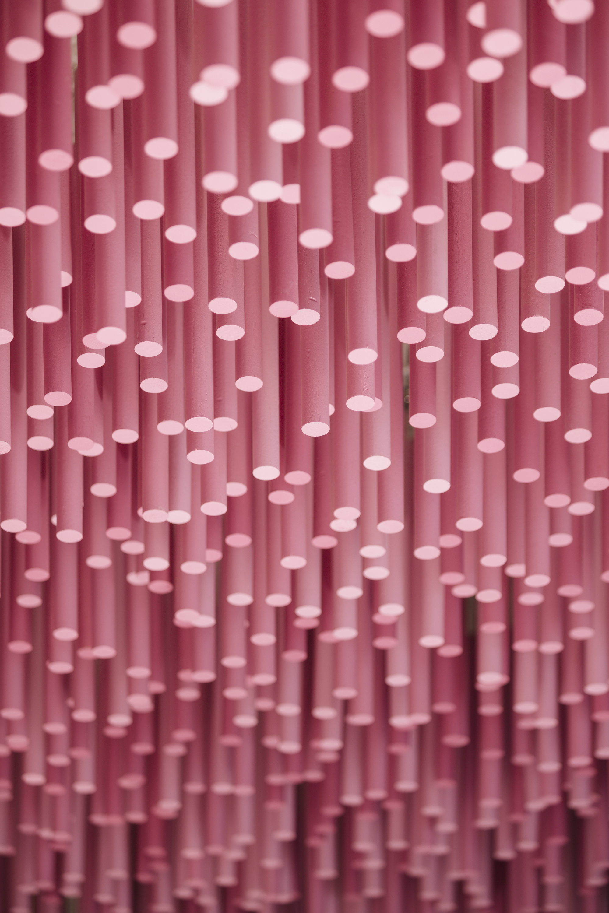 Gallery of 12,000 pink-painted wooden sticks / Ideo arquitectura - 11