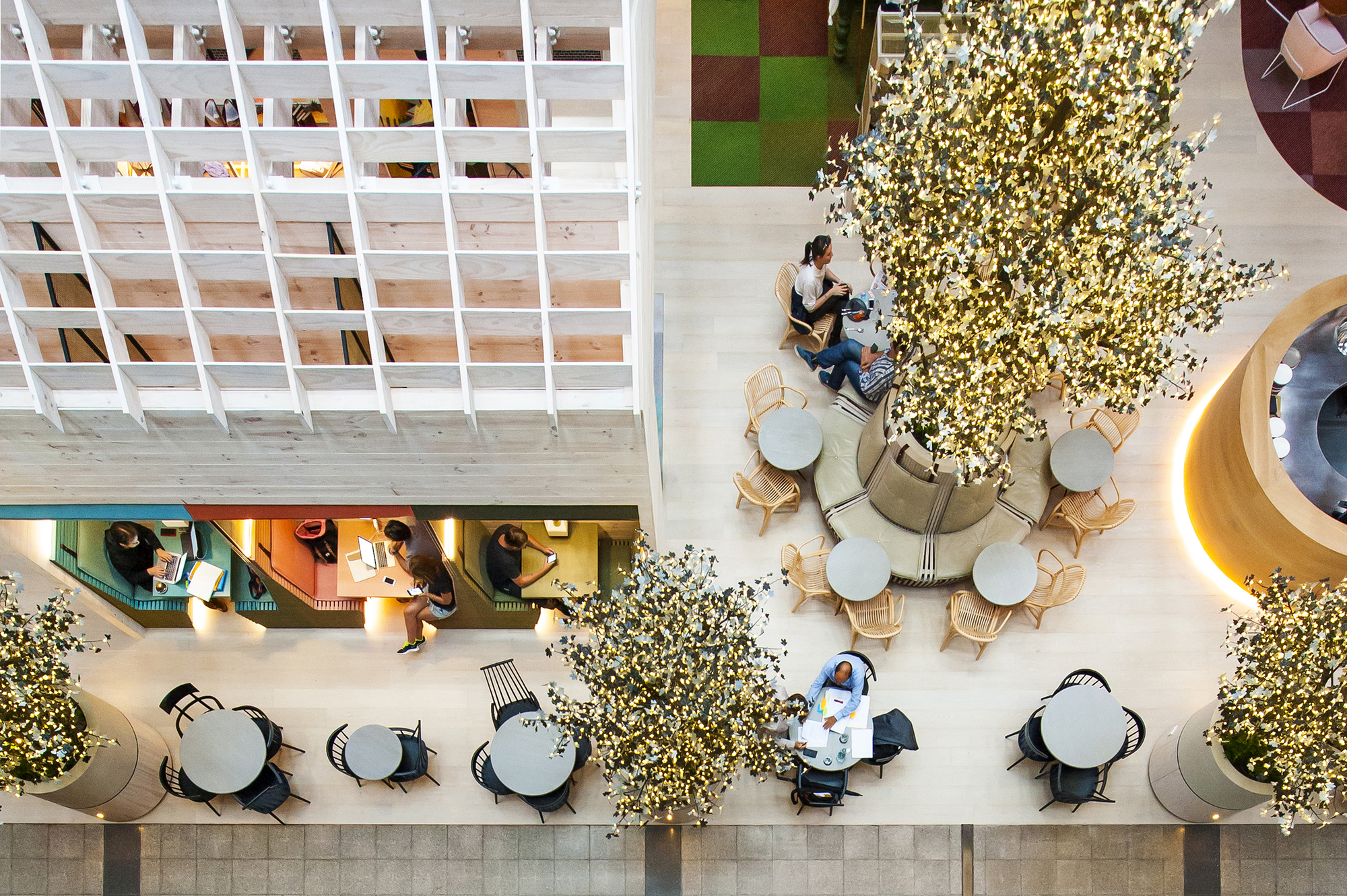 Gallery of Ovolo Woolloomooloo / HASSELL - 5