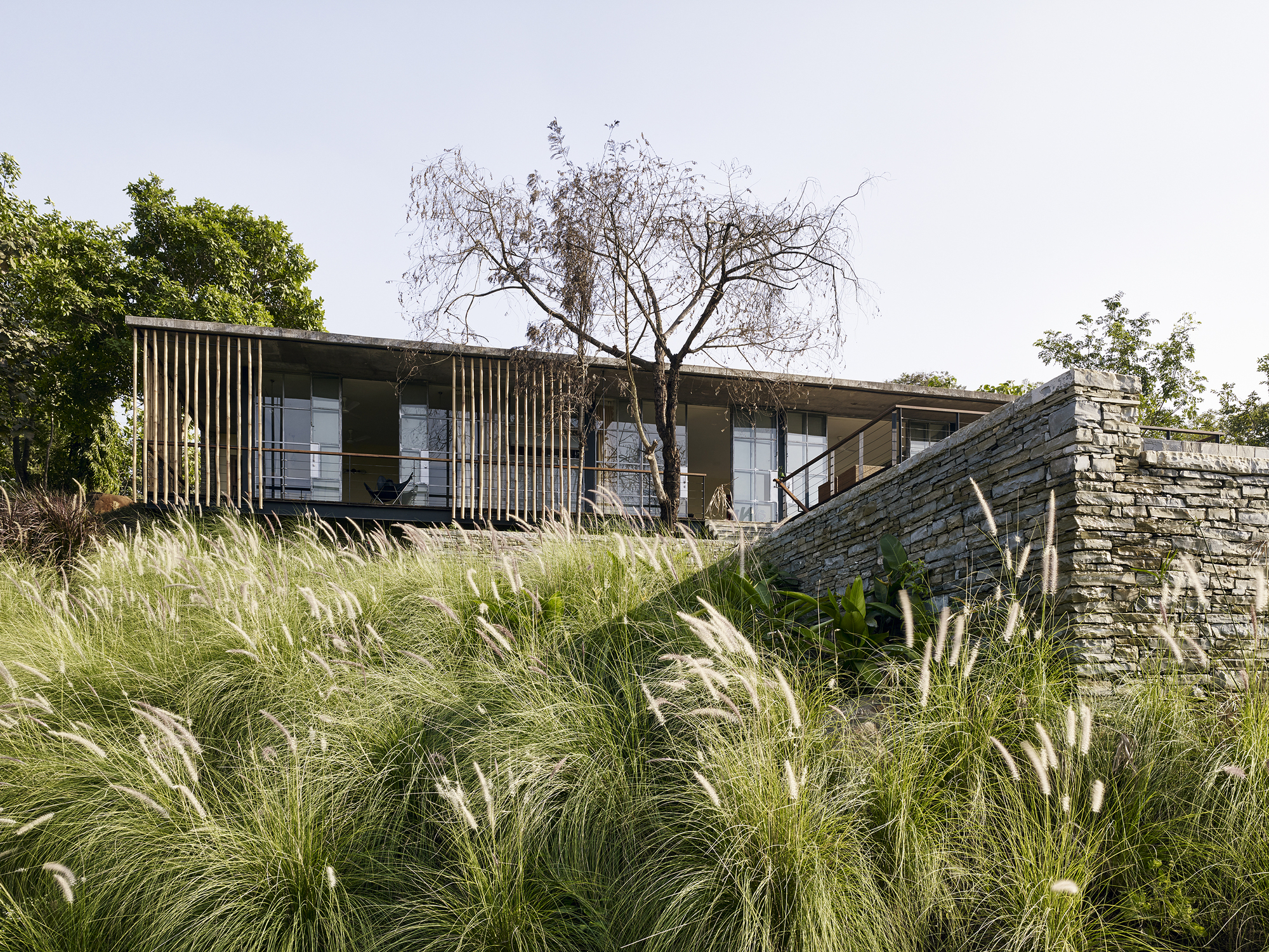 Galería de La Casa Ribereña / Architecture BRIO - 5