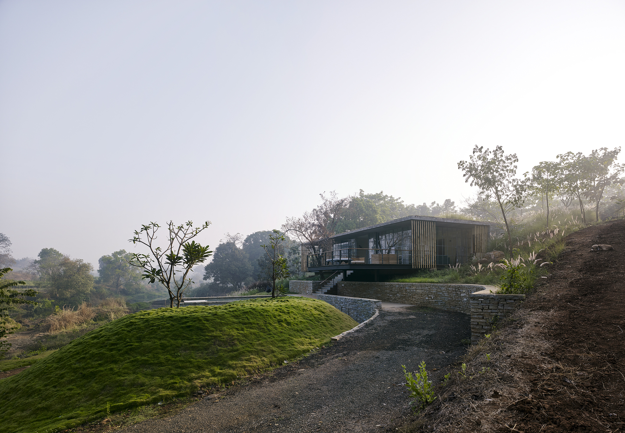 Gallery of The Riparian House / Architecture BRIO - 14