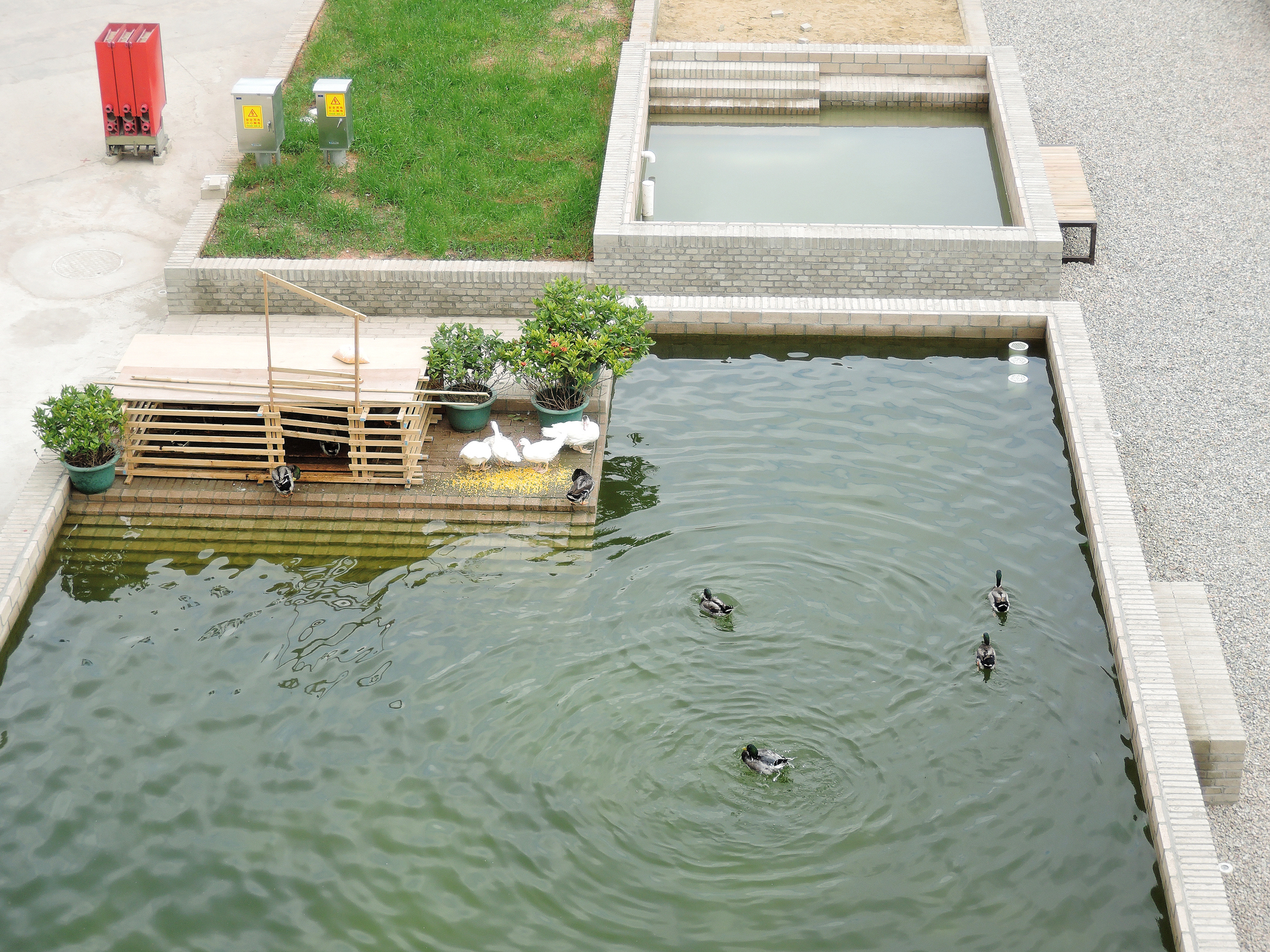Gallery of "Floating Fields" Wins Shenzhen UABB Award And is Set to ...