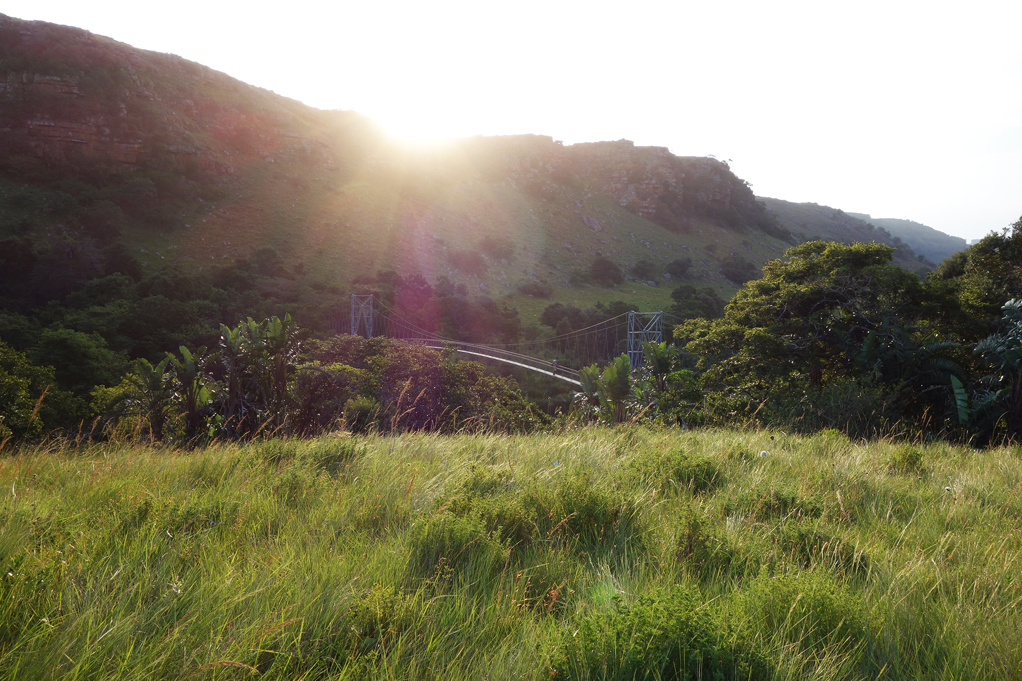 Gallery of Mzamba Bridge / CUAS + buildCollective NPO - 21