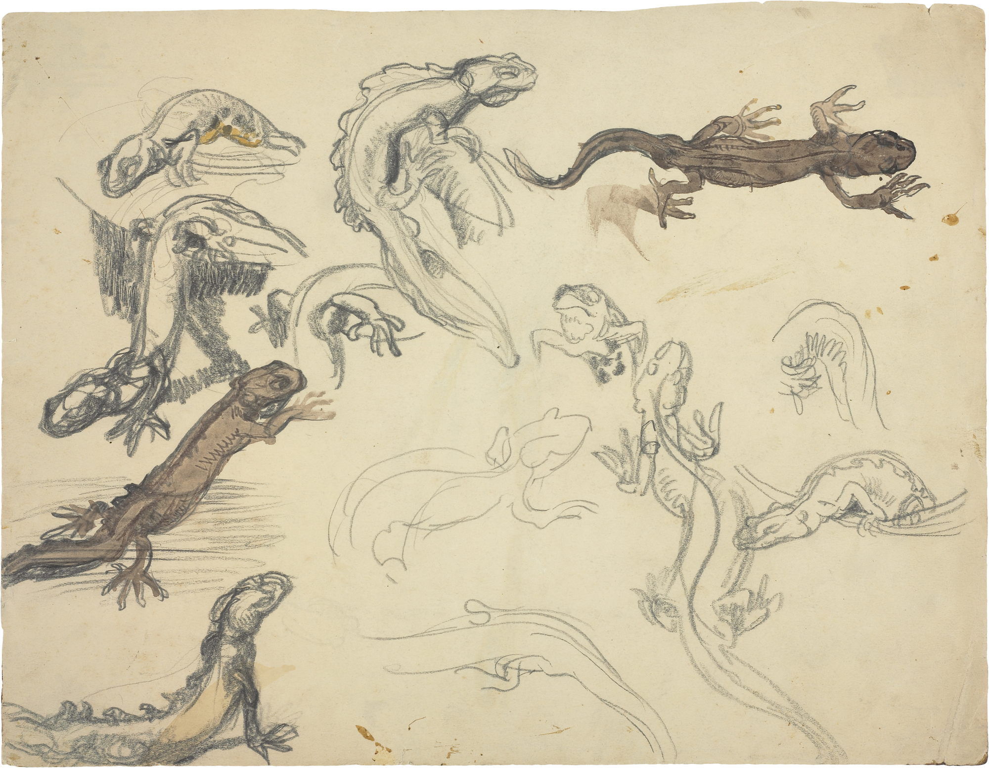 Gallery of Drawing on the Road: The Story of a Young Le Corbusier's ...