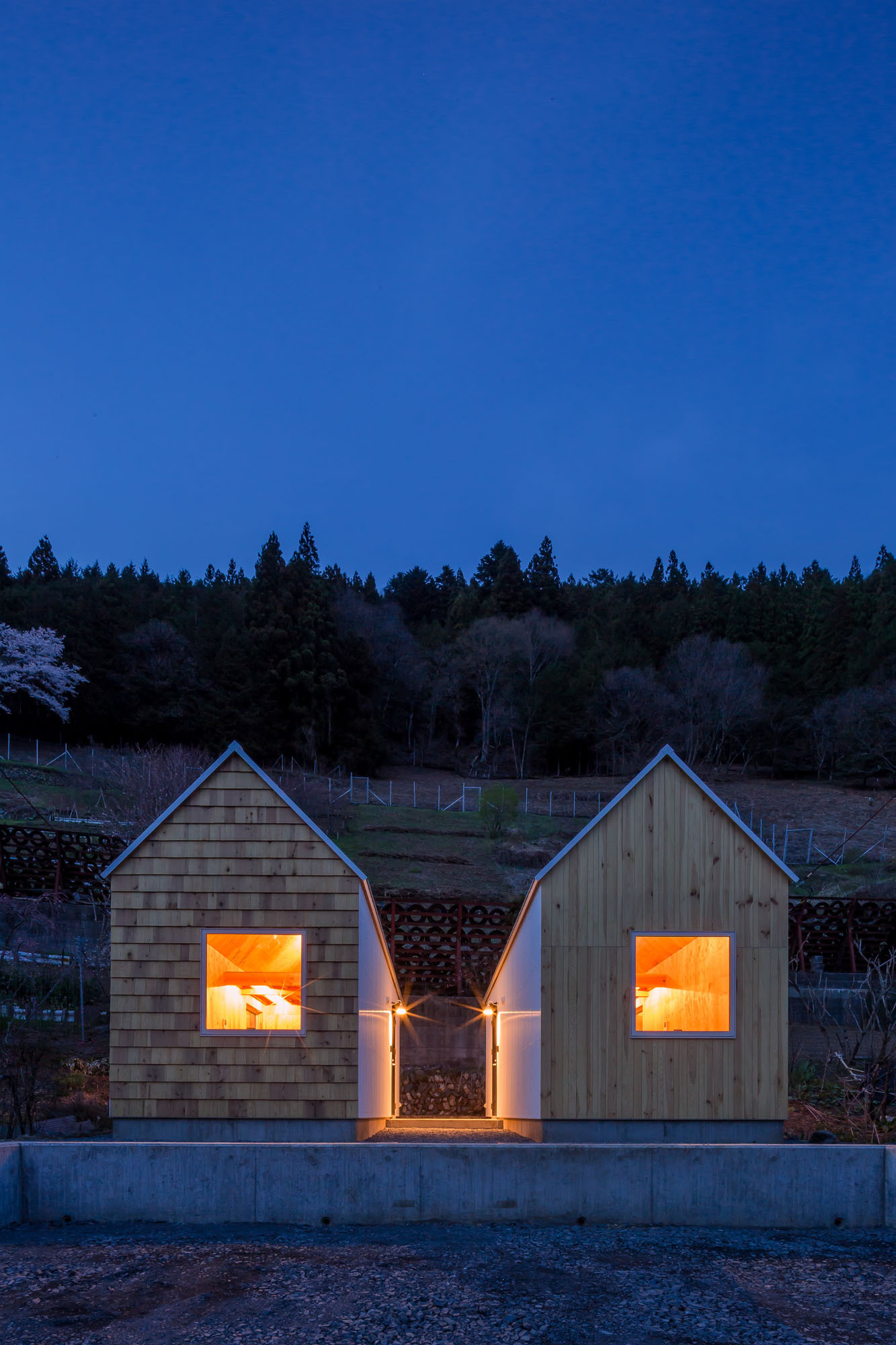 Gallery of Cedar House, Pine House / S PLUS ONE architecture - 5