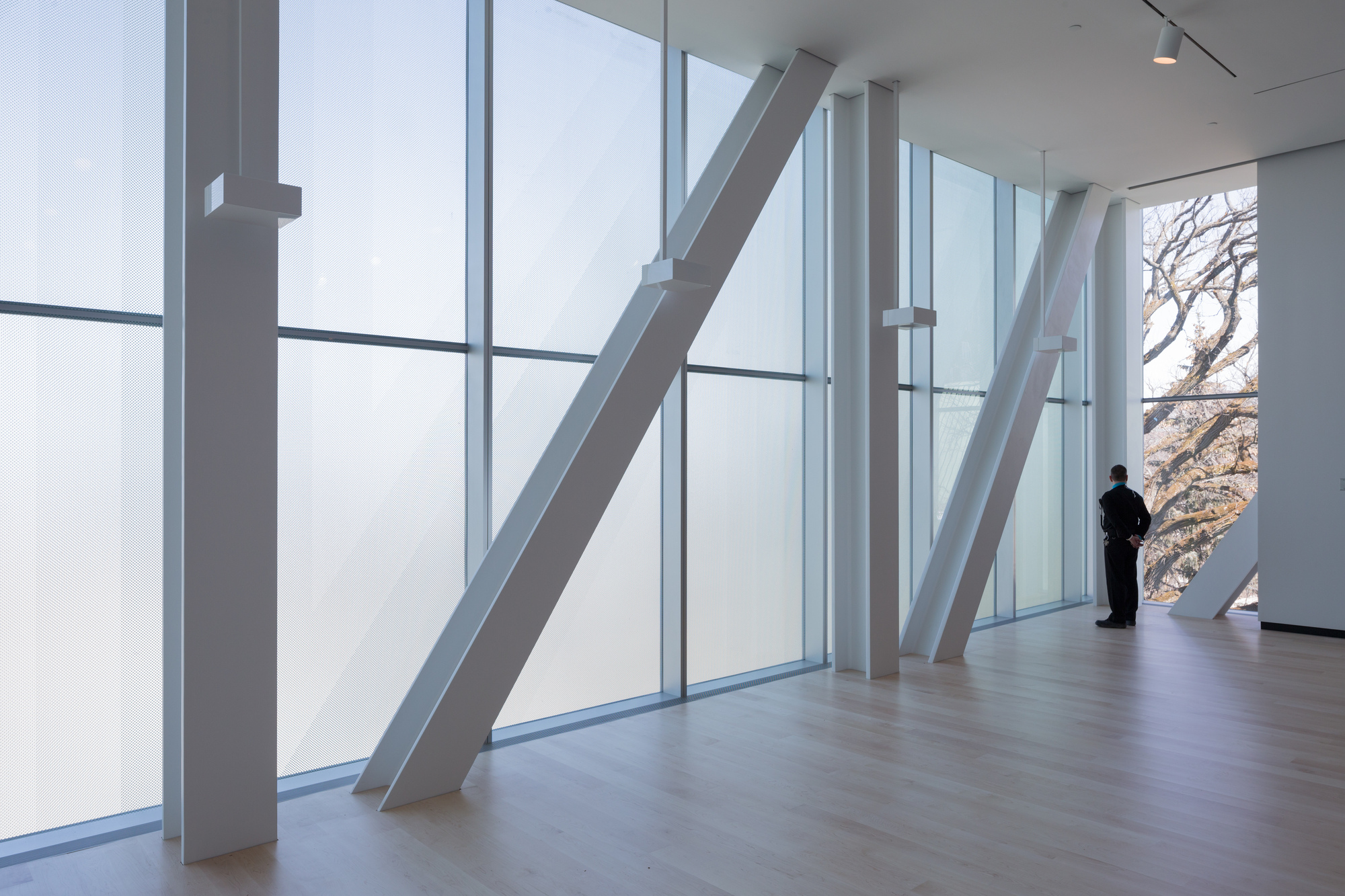 Gallery of OMA's Pierre Lassonde Pavilion of the Musée National des ...