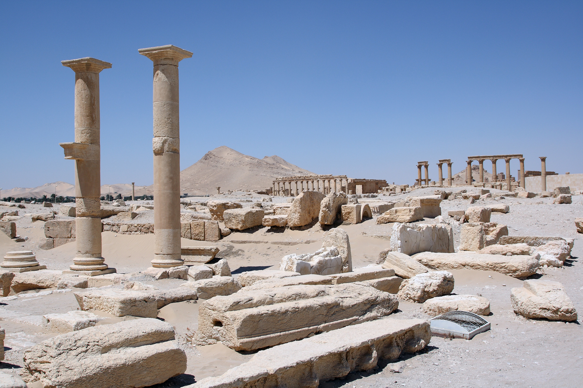 Gallery of Saving Palmyra: A Discussion with Yale's Cultural Heritage ...