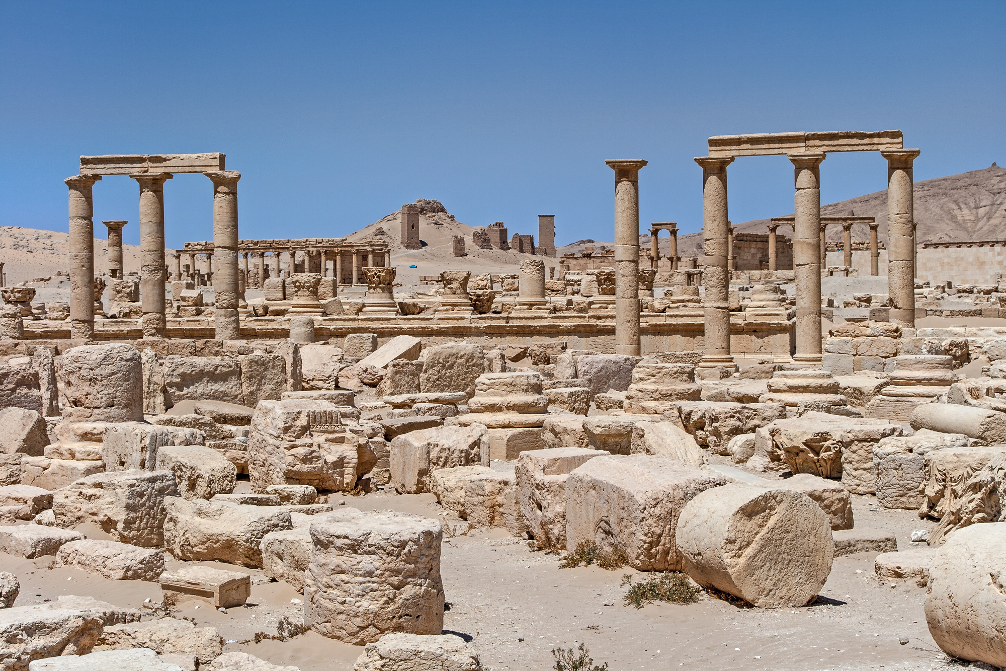 Gallery of Saving Palmyra: A Discussion with Yale's Cultural Heritage ...