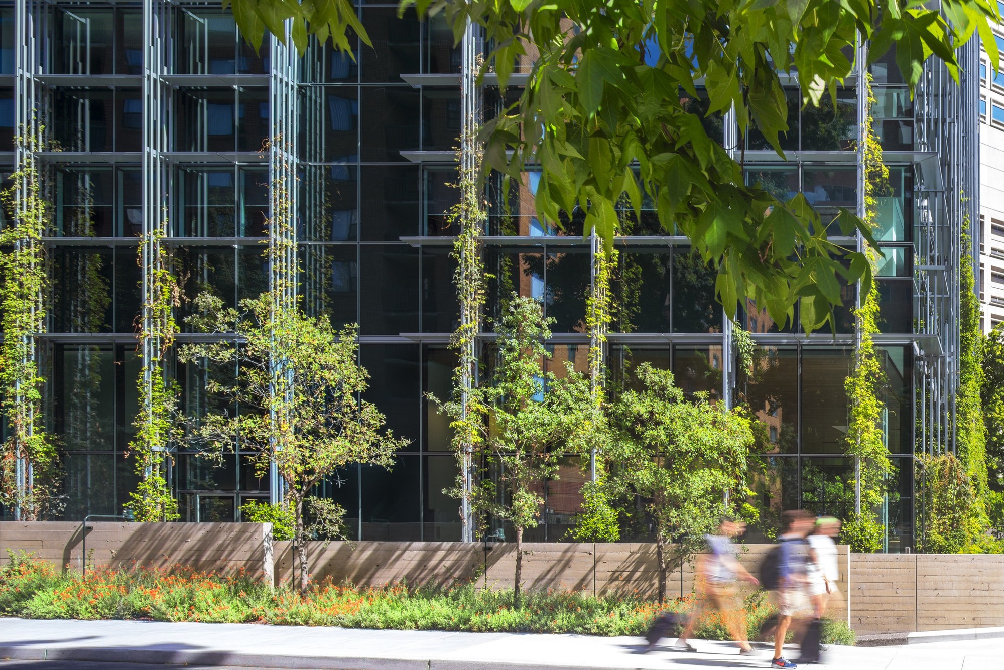 Gallery of EGWW / SERA Architects + Cutler Anderson Architects - 11