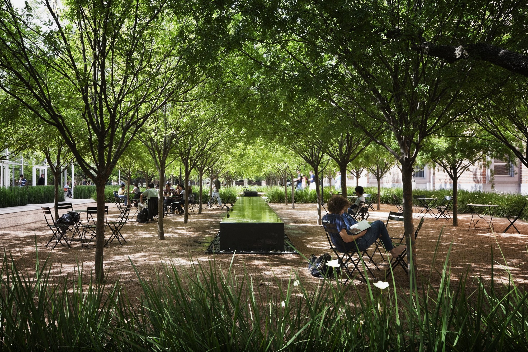 Gallery of Brochstein Pavilion / Thomas Phifer and Partners - 21