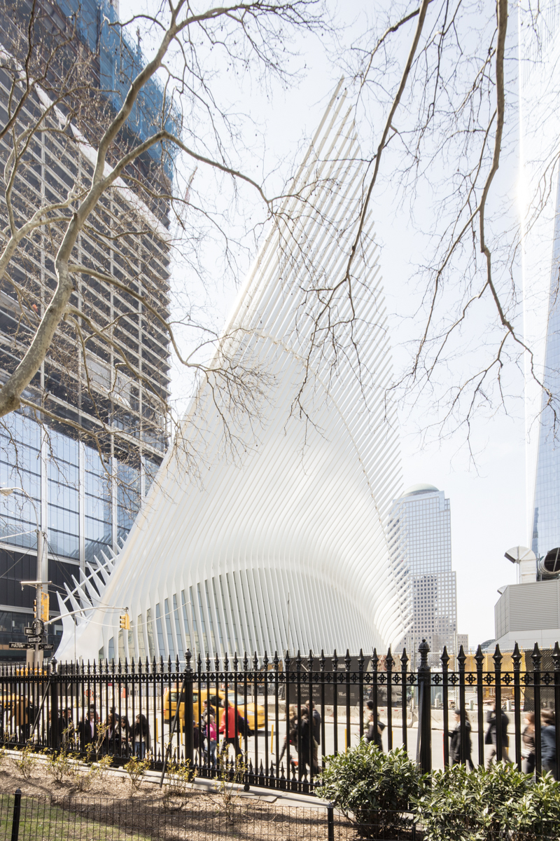 Gallery of Gallery: Santiago Calatrava's WTC Transportation Hub ...