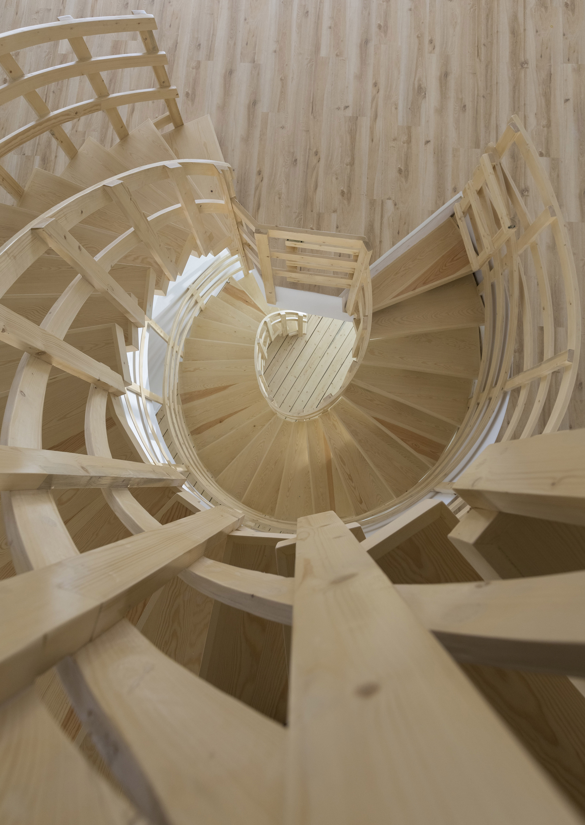 Gallery of Mosha House / New Wave Architecture - 12
