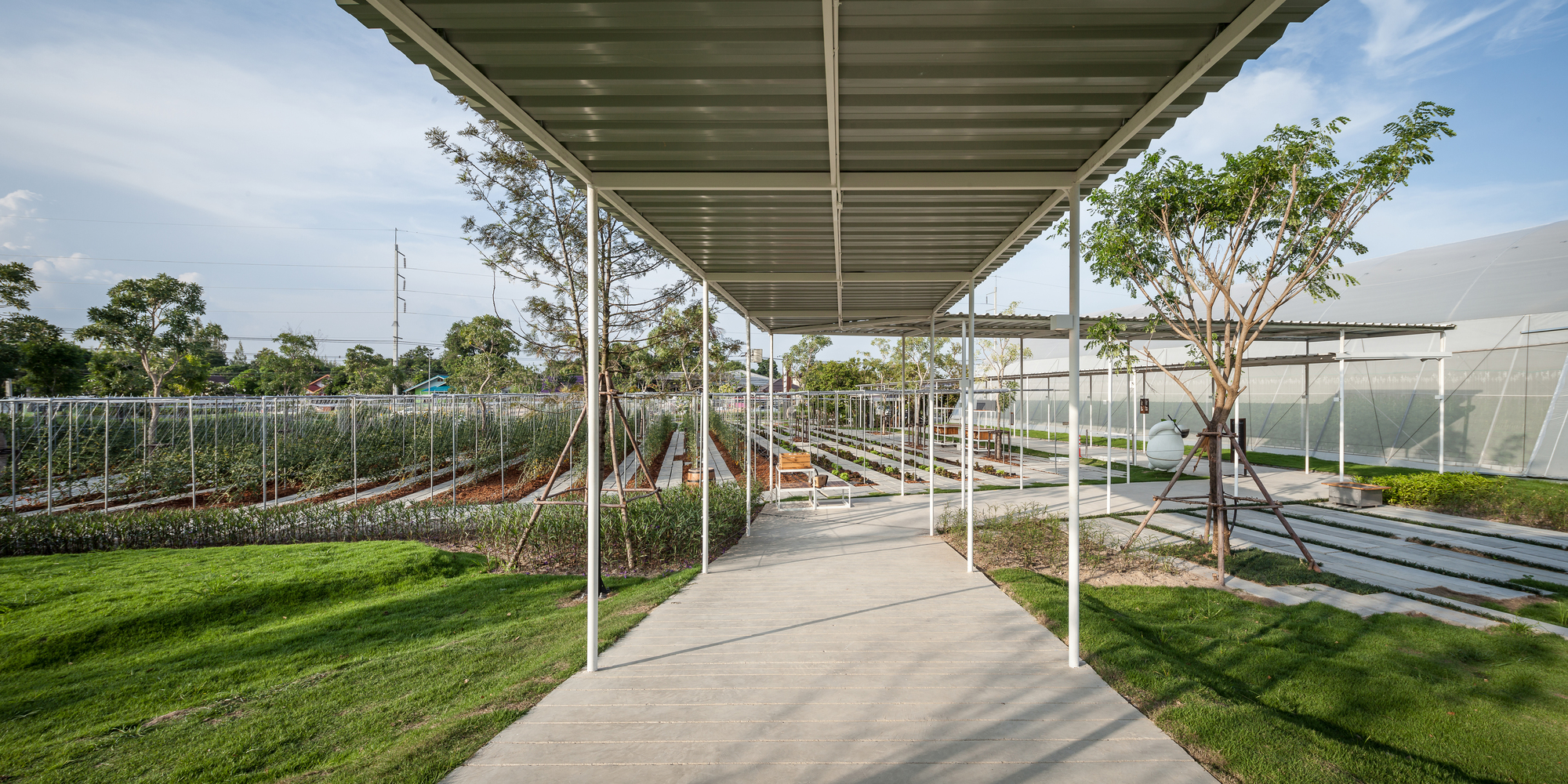 Gallery of CORO Project - Phase 1 / Integrated Field - 35