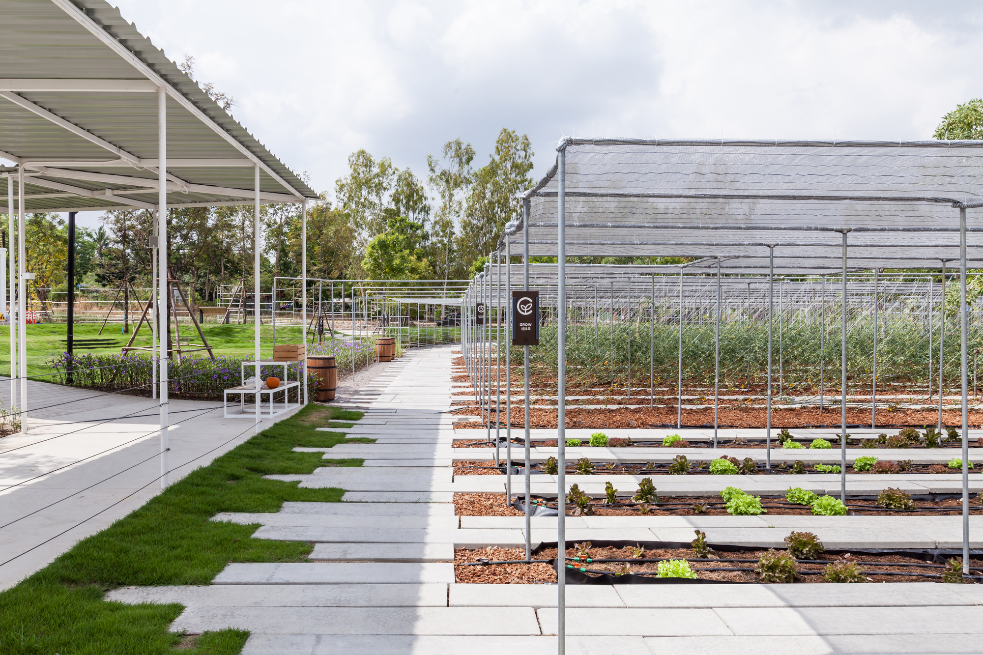 Gallery of CORO Project - Phase 1 / Integrated Field - 37