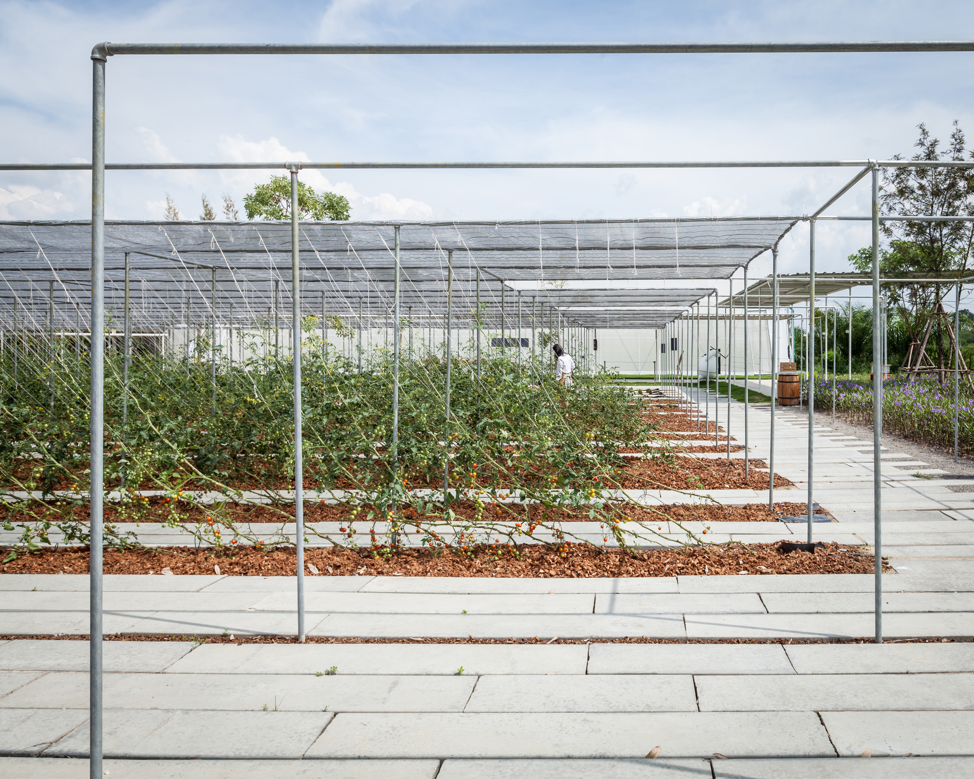 Gallery of CORO Project - Phase 1 / Integrated Field - 24