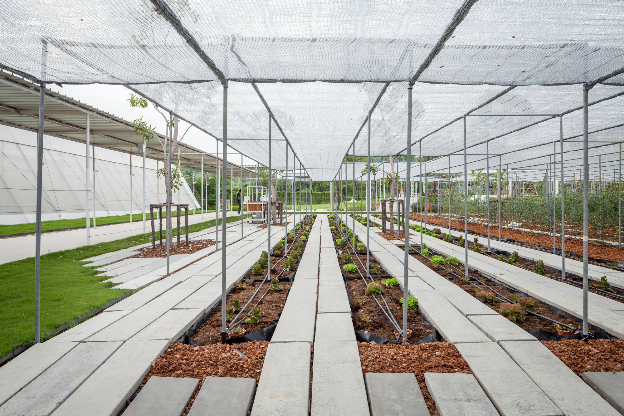 Gallery of CORO Project - Phase 1 / Integrated Field - 43