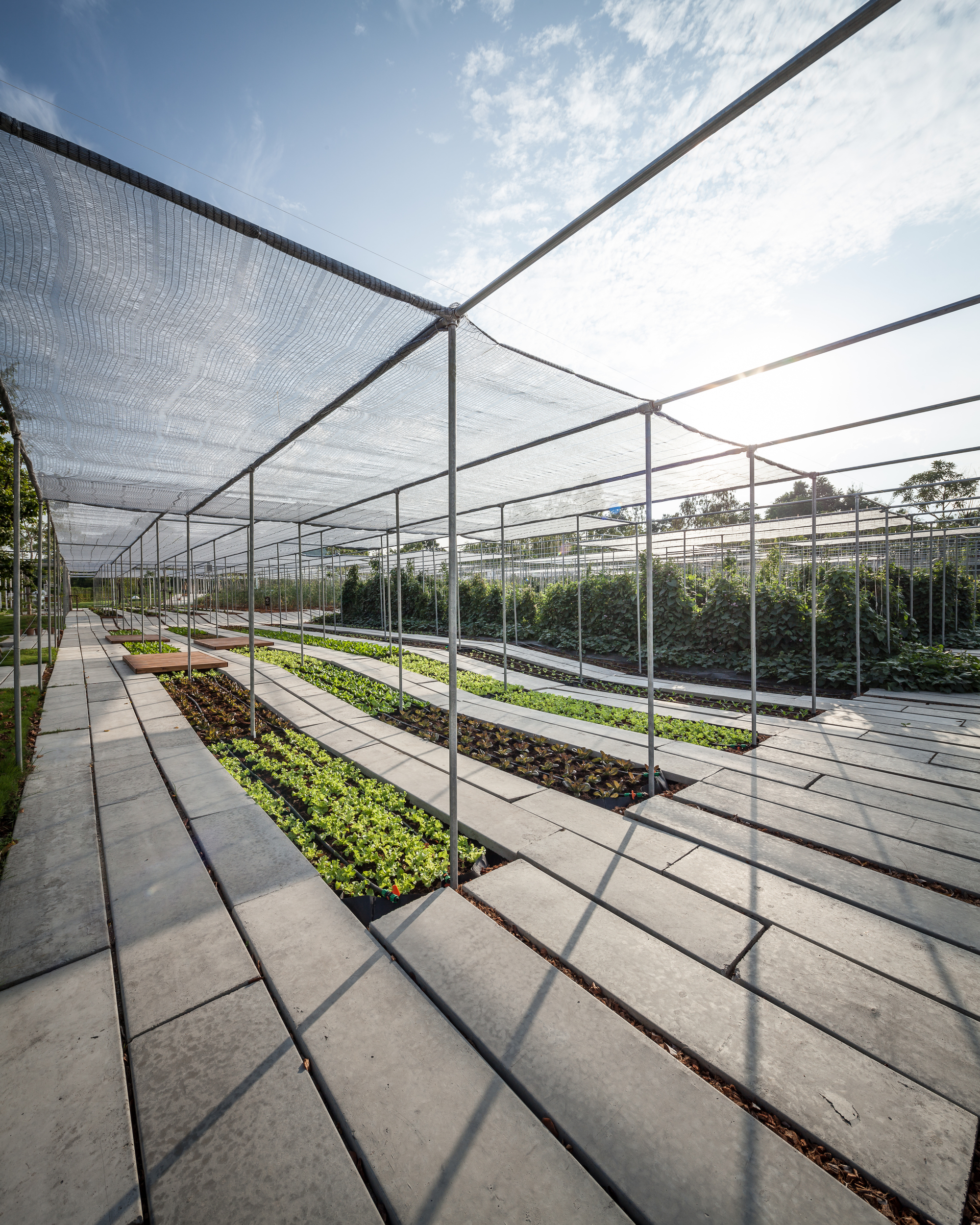 Gallery of CORO Project - Phase 1 / Integrated Field - 12