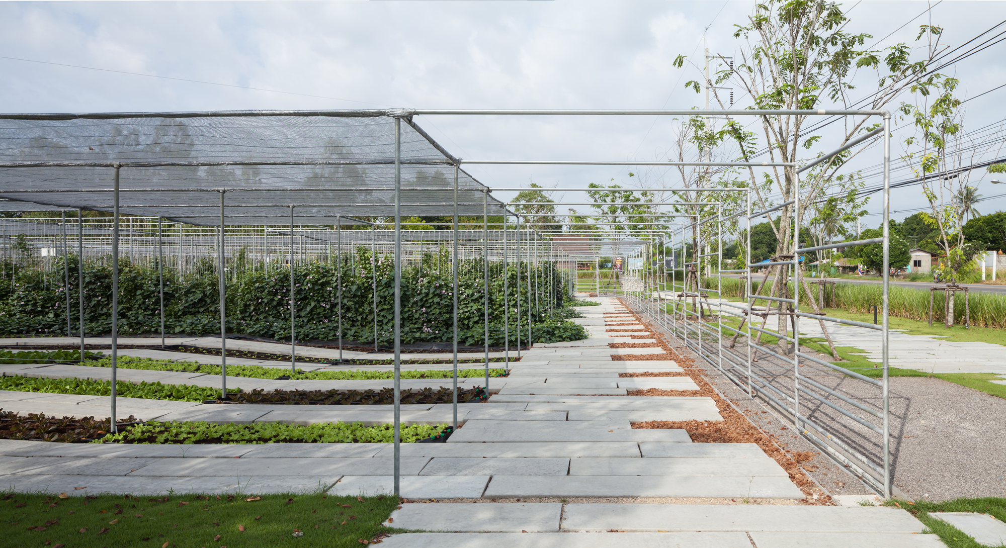 Gallery of CORO Project - Phase 1 / Integrated Field - 34