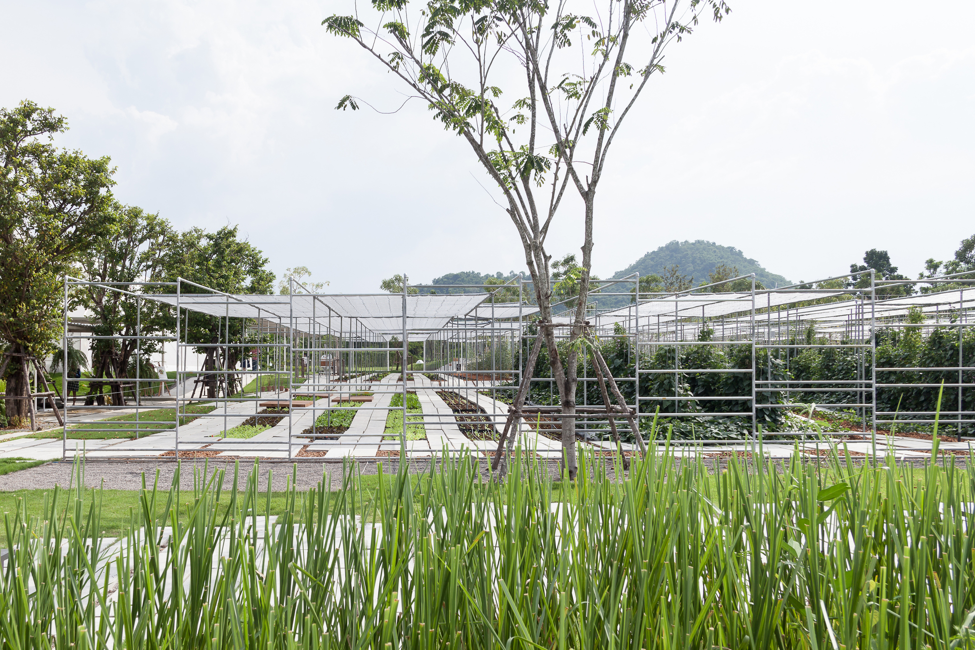 Gallery of CORO Project - Phase 1 / Integrated Field - 41