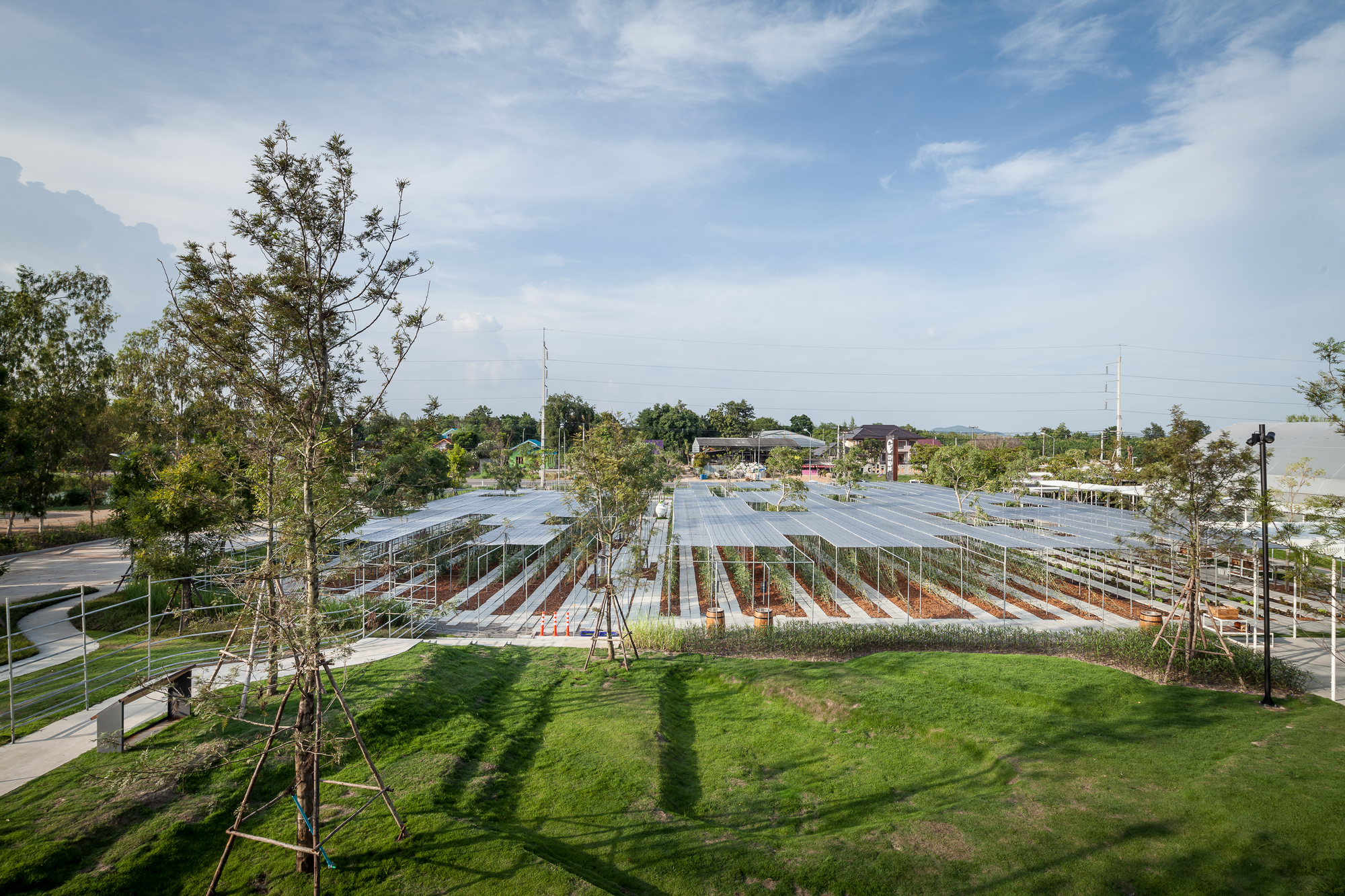 Gallery of CORO Project - Phase 1 / Integrated Field - 28