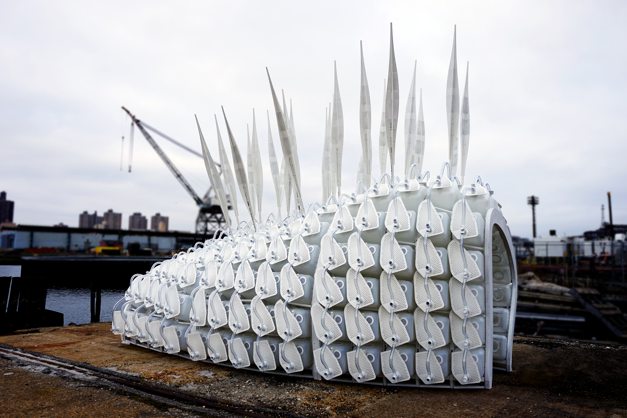 Gallery of Cricket Shelter - Modular Insect Farm / Terreform ONE - 4